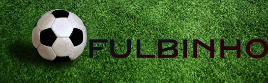 BRAZIL 2014 :: fulbinho
